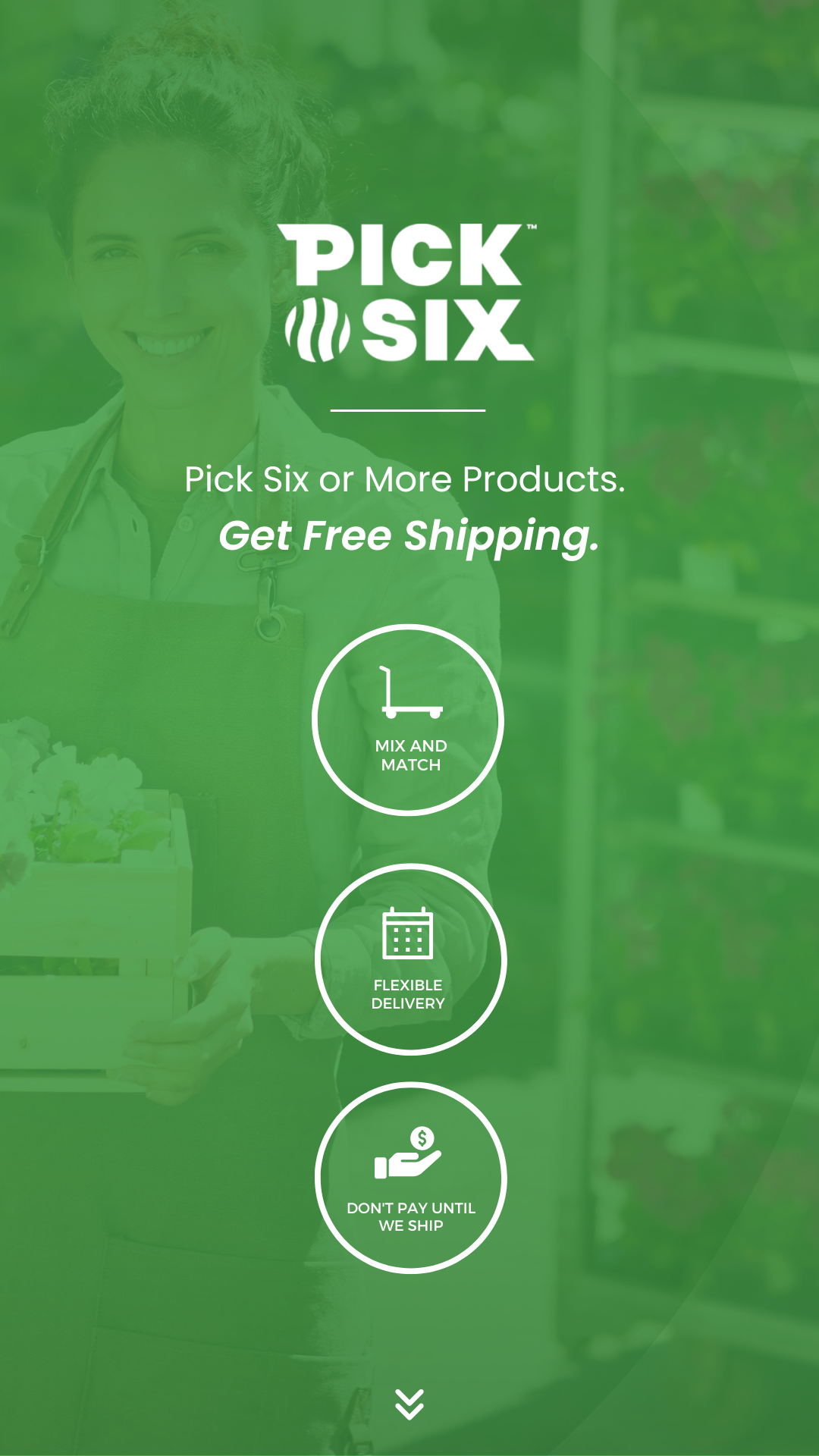 Pick Six | Wellmaster Canada