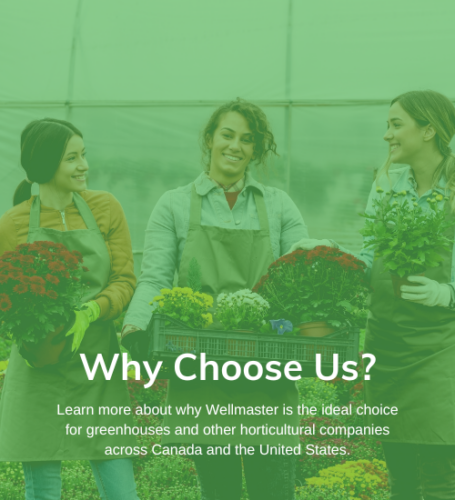 Pick Six | Wellmaster Canada